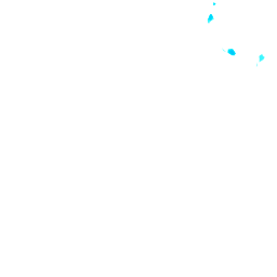 Leaflet Animation - Xweather Raster Maps